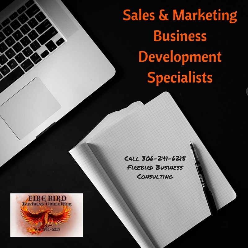 Firebird Business Consulting Ltd. – Blog Site | "Next Level Business ...